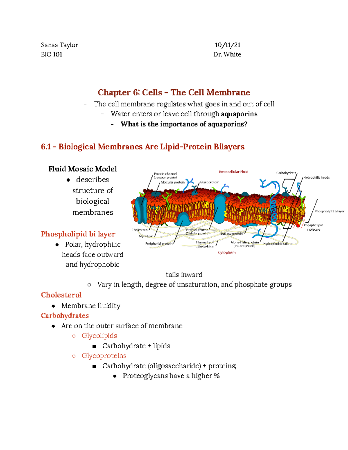 Chap.6 10 11-2 - BIO 101 - Sanaa Taylor 10/11/ BIO 101 Dr. White Chapter 6 Cells - The Cell ...