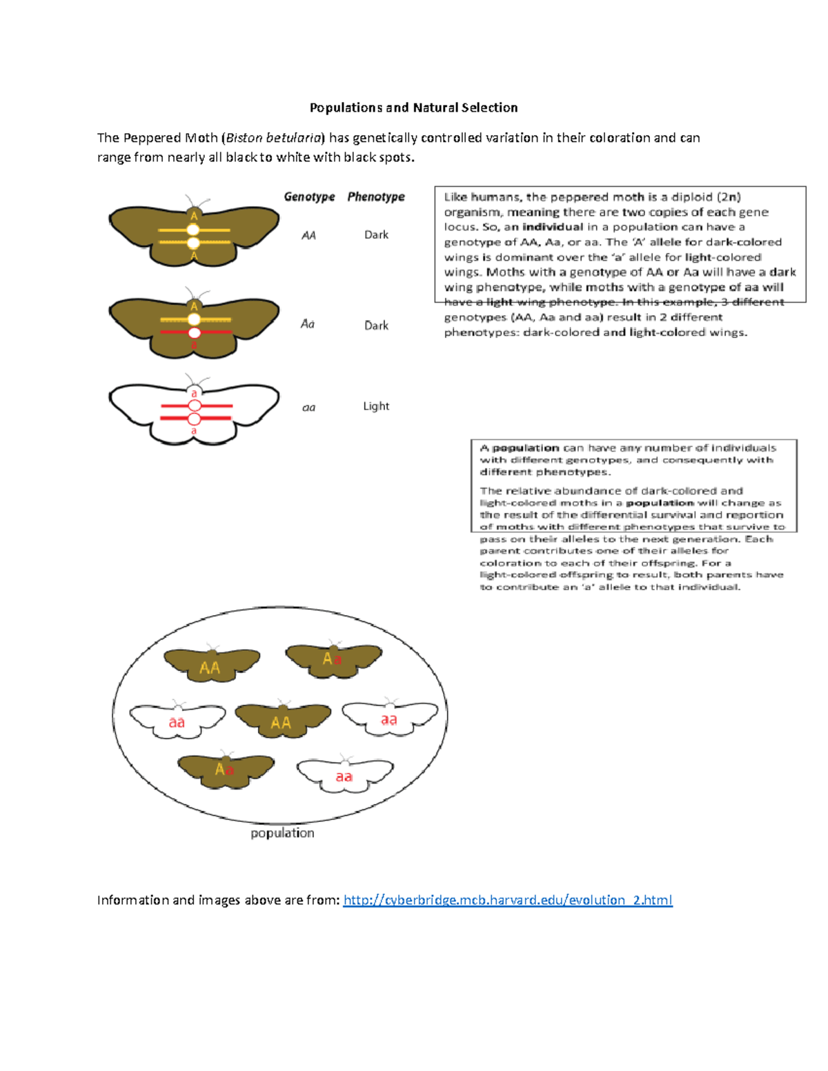 Populations and natural selection - Populations and Natural Selection ...