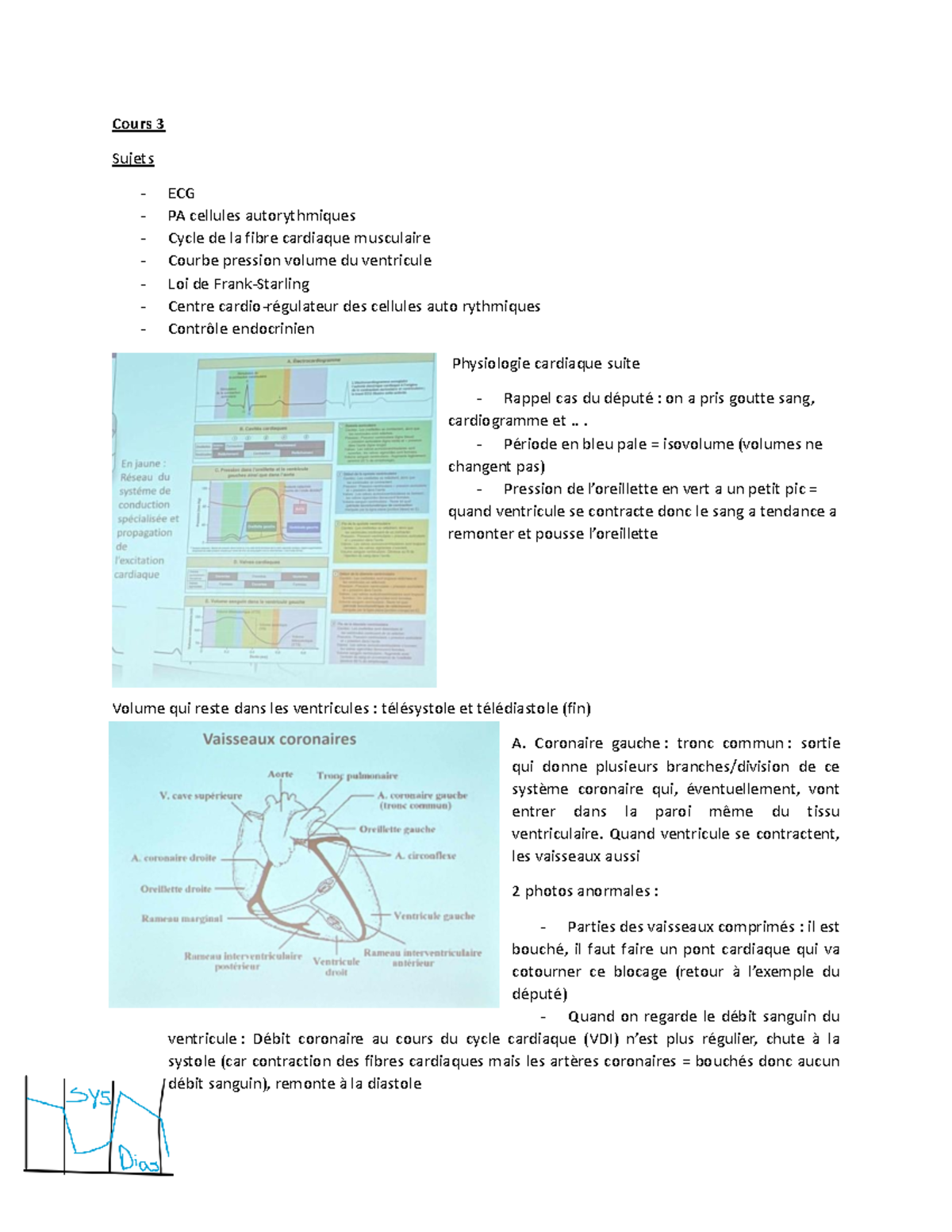 Cours 3 - Cours 3 Sujets - ECG - PA cellules autorythmiques - Cycle de ...