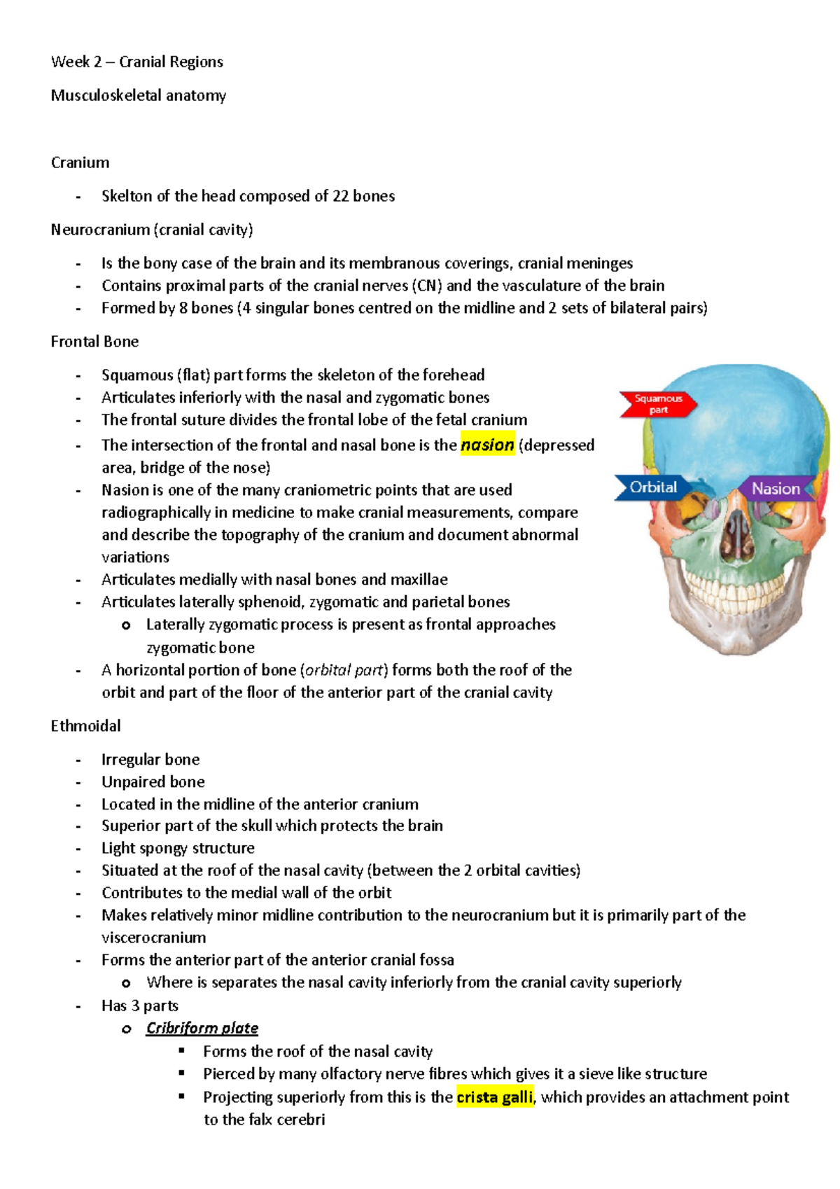 Week 2 - Neurological anatomy - Week 2 – Cranial Regions ...