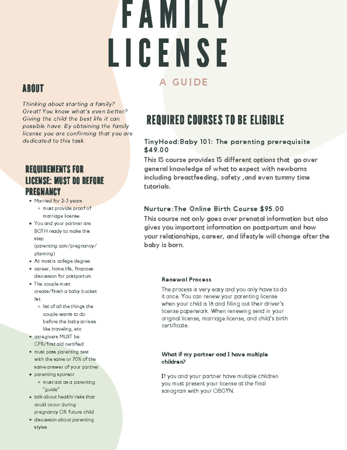 Family license - A G U I D E F A M I L Y L I C E N S E REQUIREMENTS FOR ...