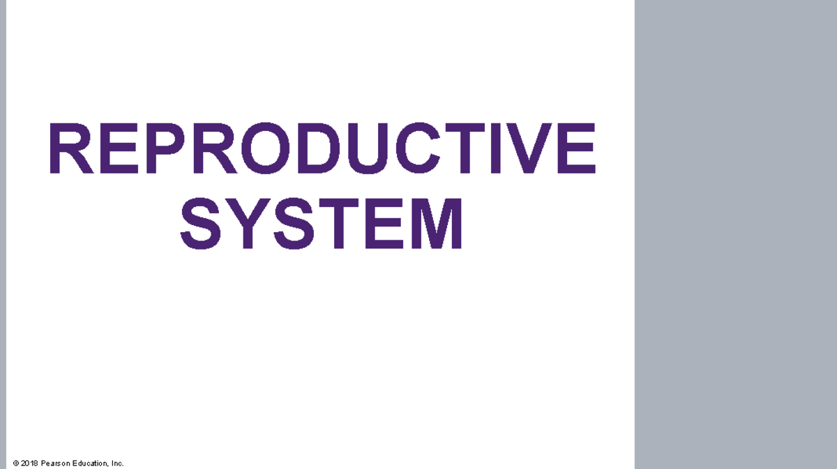 Functional Human Anatomy repro - ####### REPRODUCTIVE ####### SYSTEM ...