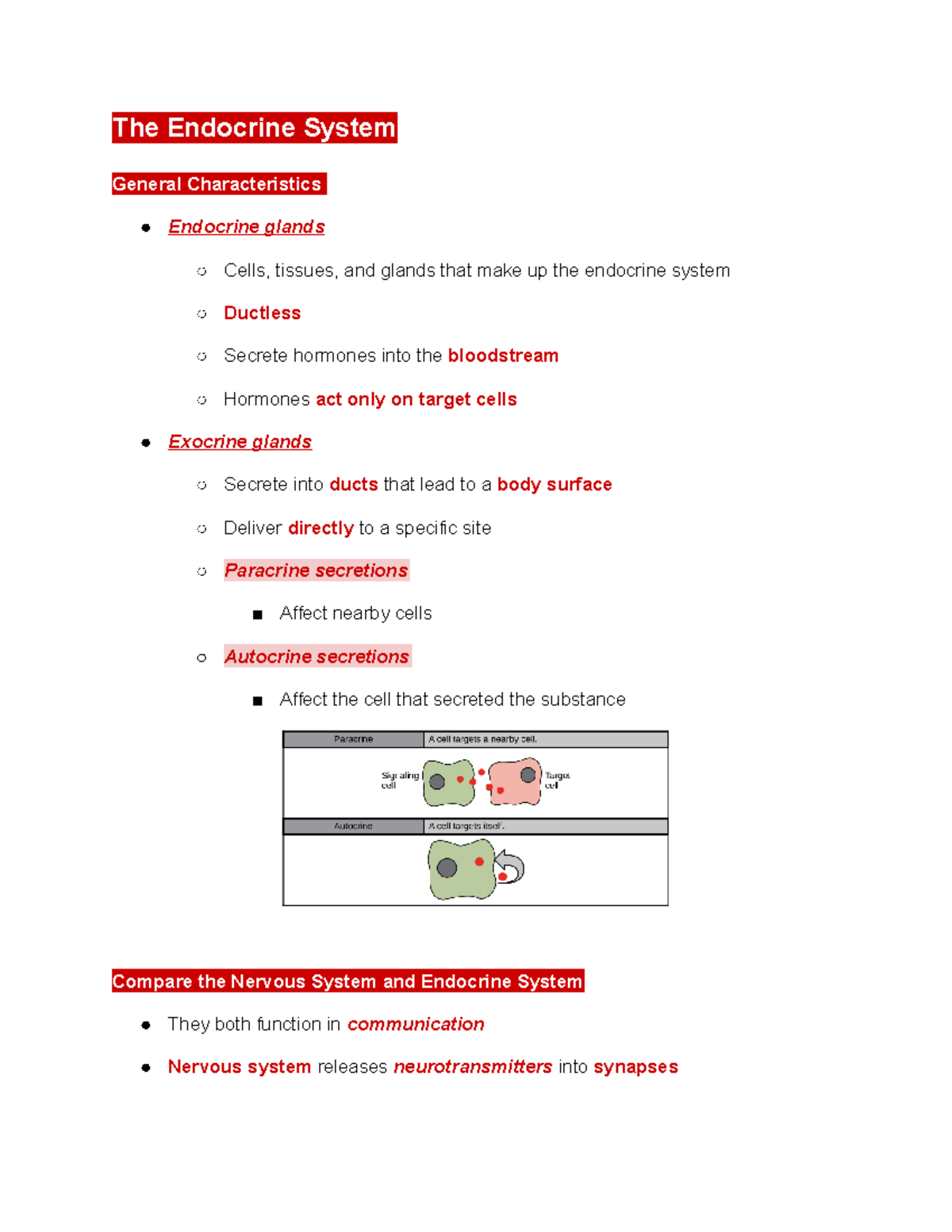 The Endocrine System - The Endocrine System General Characteristics ...