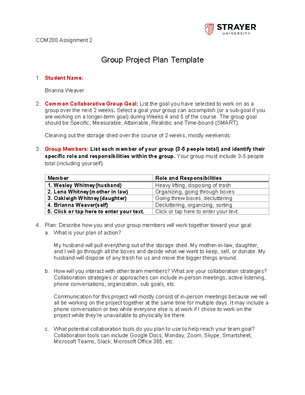 Cf Group Project Plan - COM200 Assignment 2 Group Project Plan Template ...