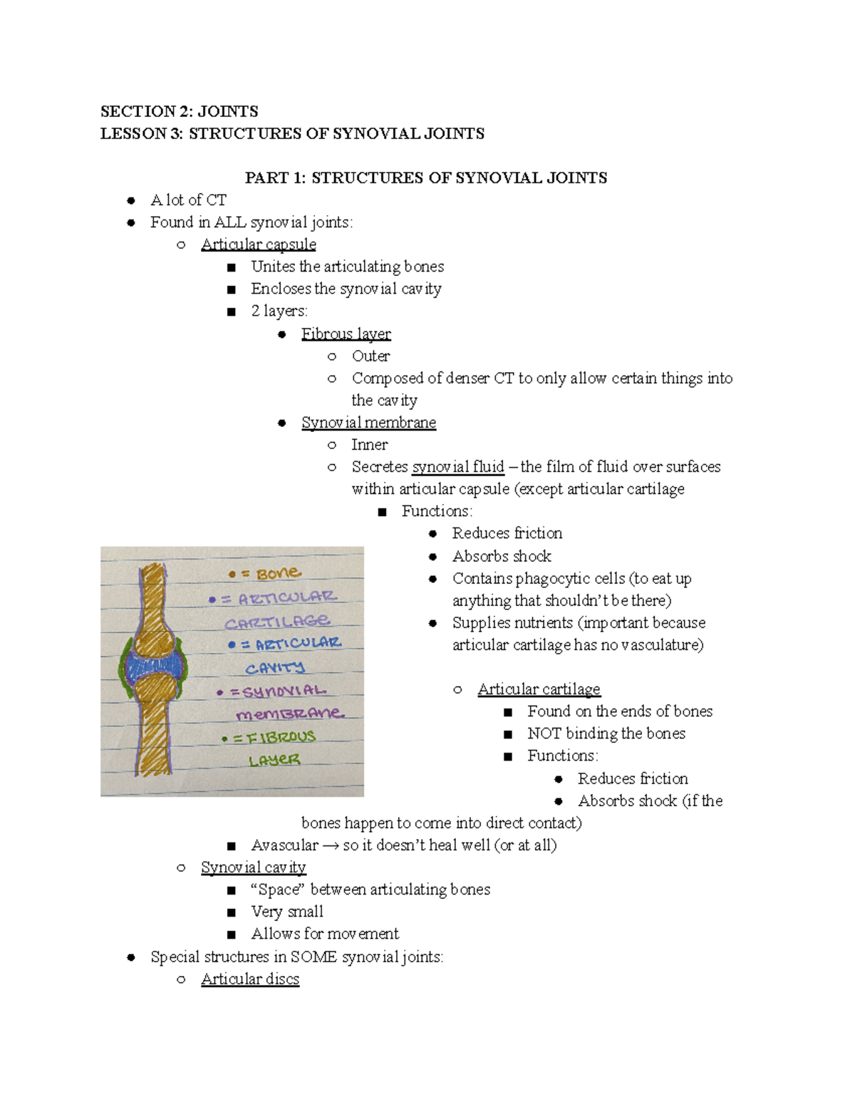 9- Structures of Synovial Joints - SECTION 2: JOINTS LESSON 3 ...