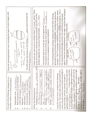 Scanned Worksheet - PSB 2000 - Studocu