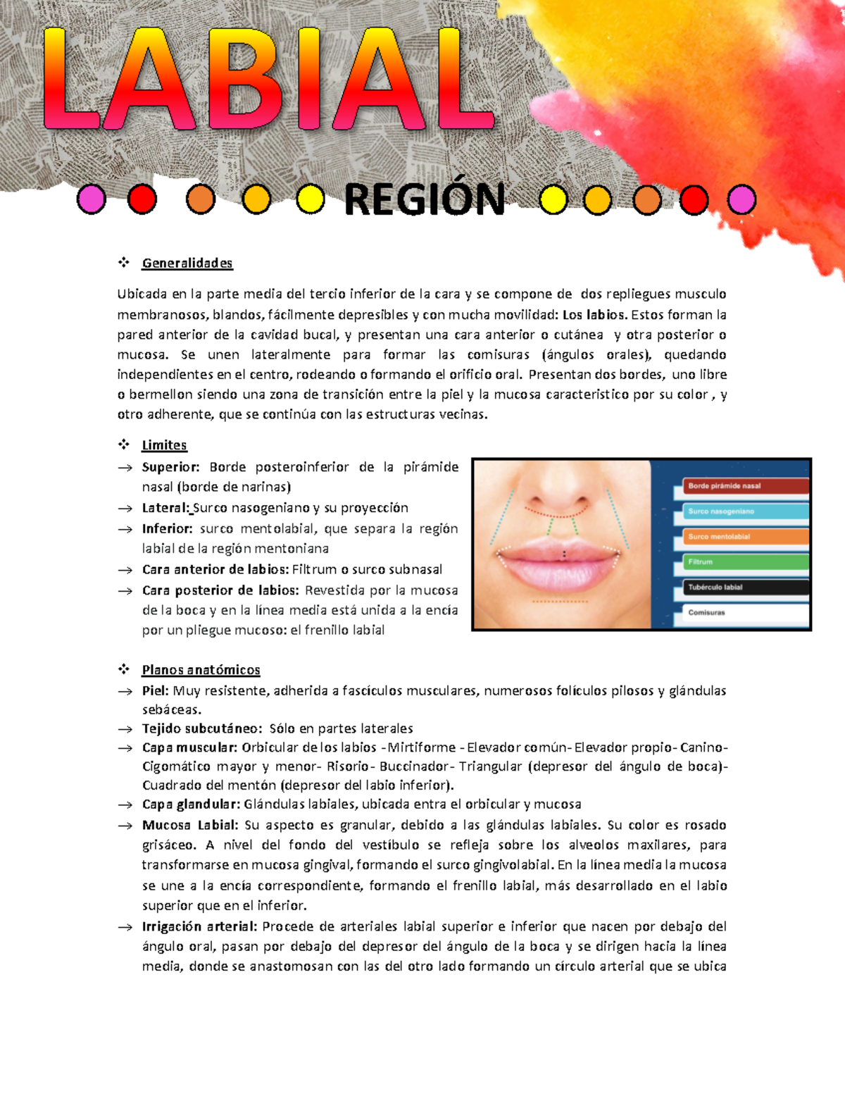 Región labial - Region topografica de labios - ! Generalidades Ubicada ...