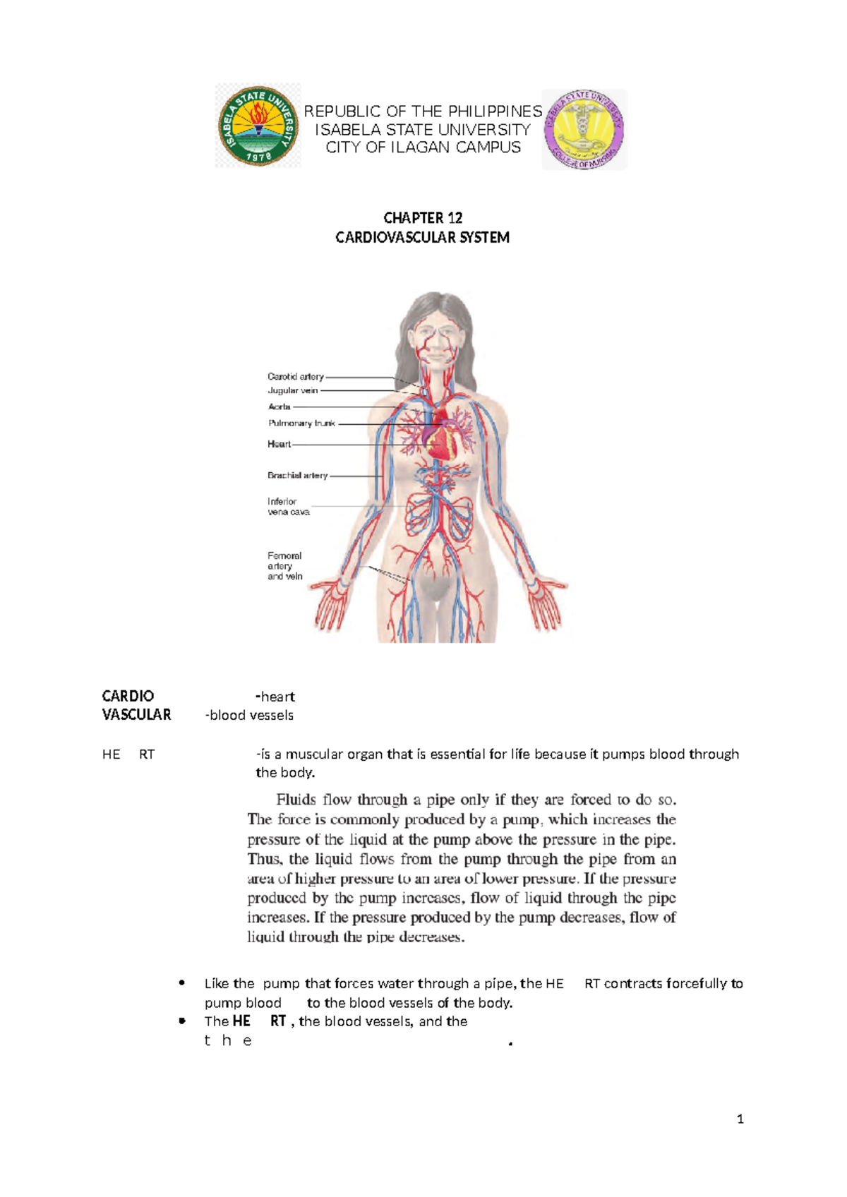 Cardiovascular- System - REPUBLIC OF THE PHILIPPINES ISABELA STATE ...