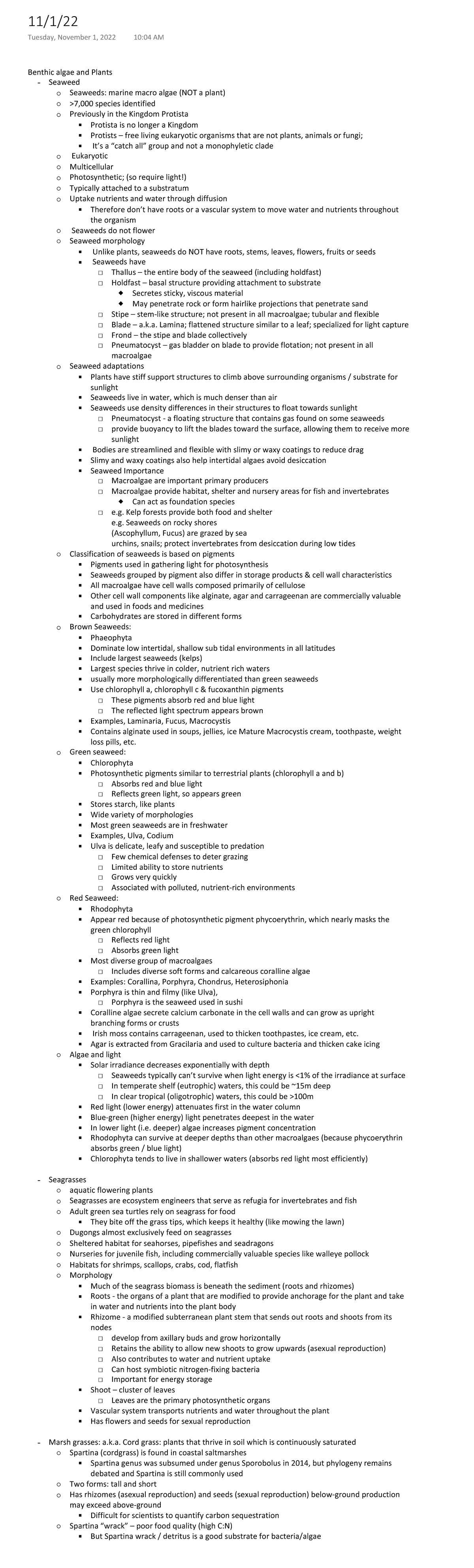 11122 - Lecture Notes - Benthic algae and Plants Seaweed Seaweeds ...