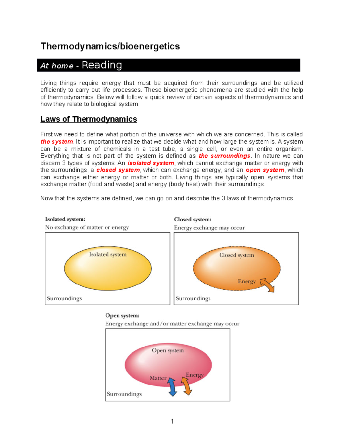06 Thermodynamics - Worksheet - Thermodynamics/bioenergetics At home ...