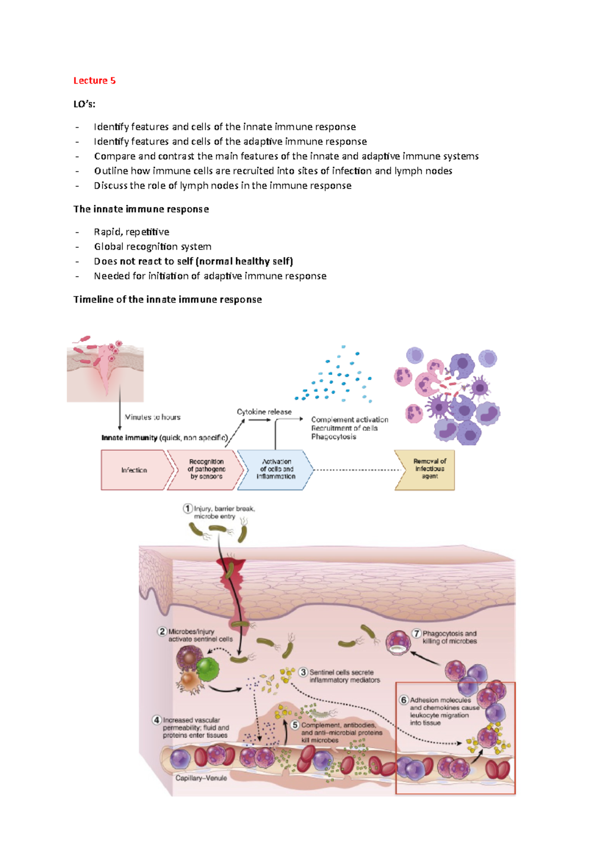 Meds2004 lectures 5-6 - Lecture notes - Lecture 5 LO’s: Identify ...