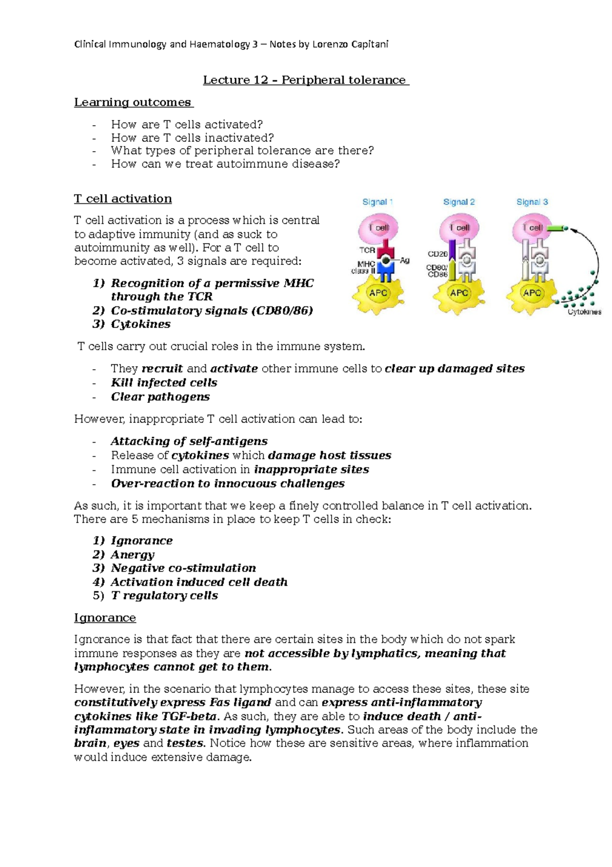 Lecture 12 – Peripheral tolerance - Lecture 12 – Peripheral tolerance ...