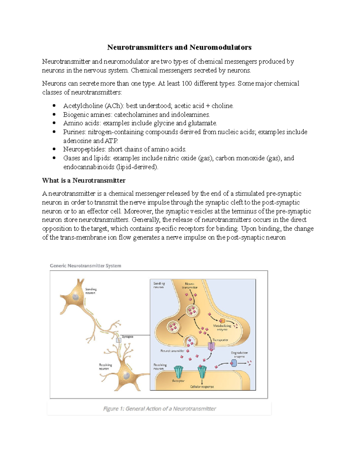 Neurotransmitters and Neuromodulators Study Guide-51c8ffb8-ffe8-4ccf ...