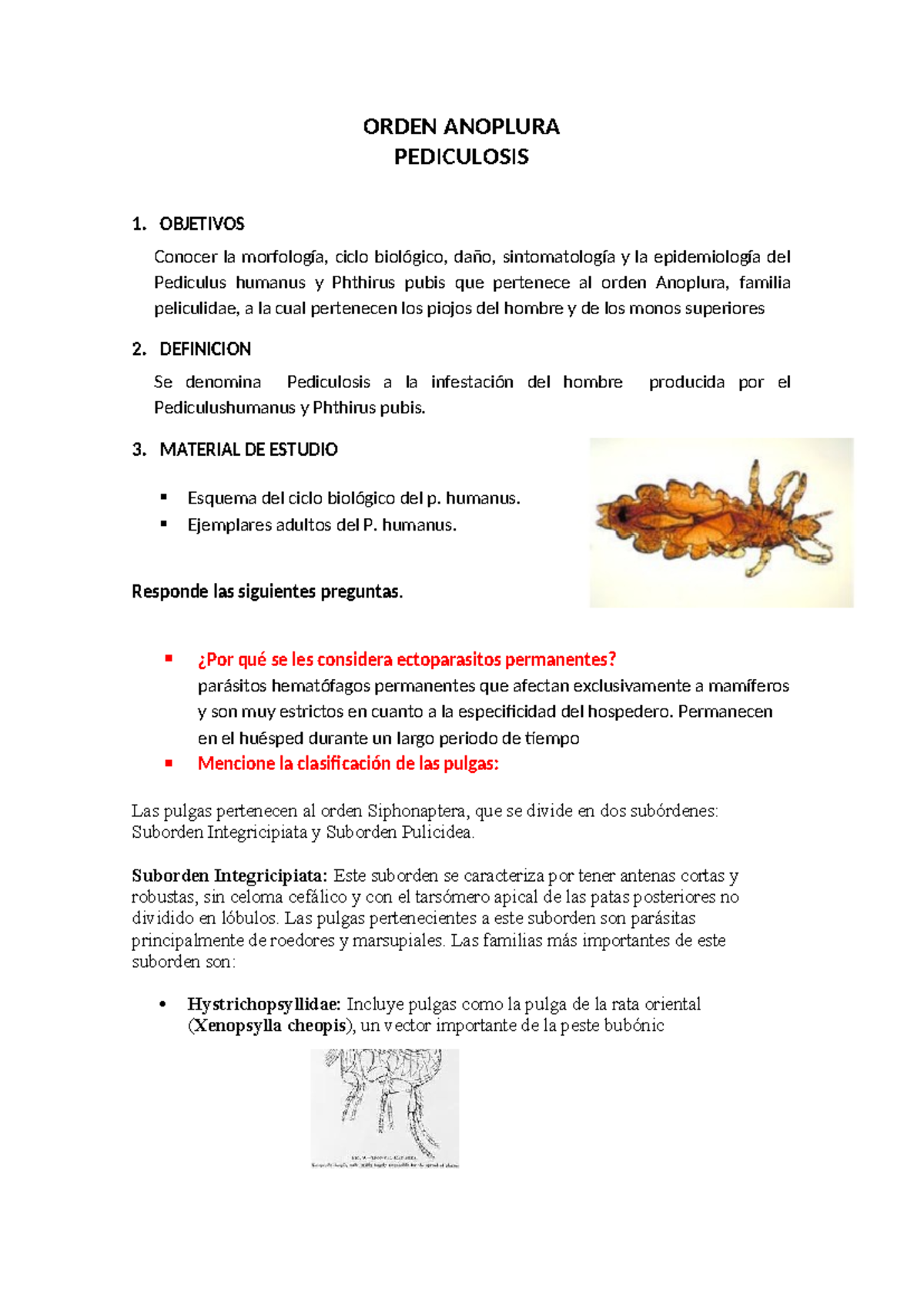 Guias TERCER aporte - ORDEN ANOPLURA PEDICULOSIS 1. OBJETIVOS Conocer ...