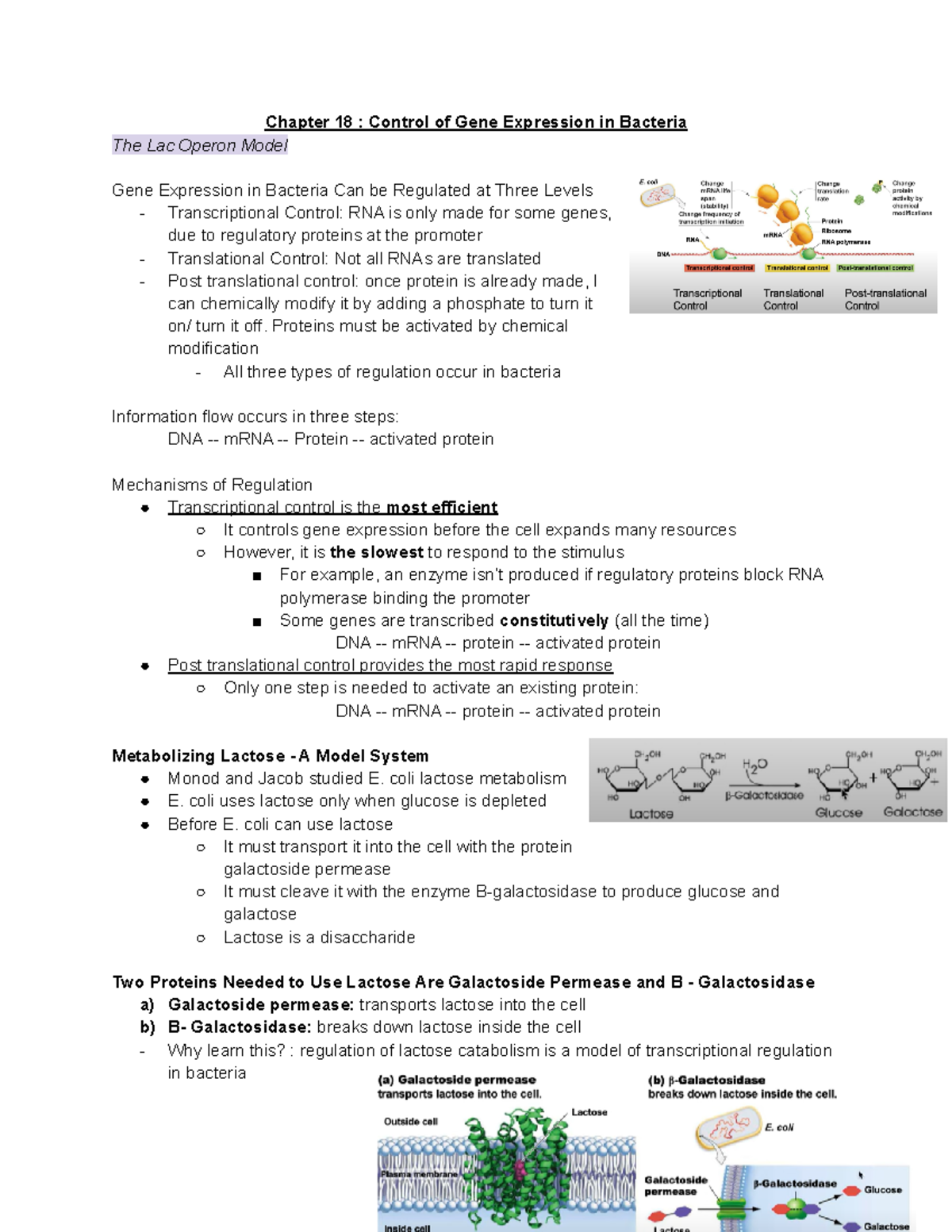 Functional Biology Unit 4 - Chapter 18 : Control of Gene Expression in ...