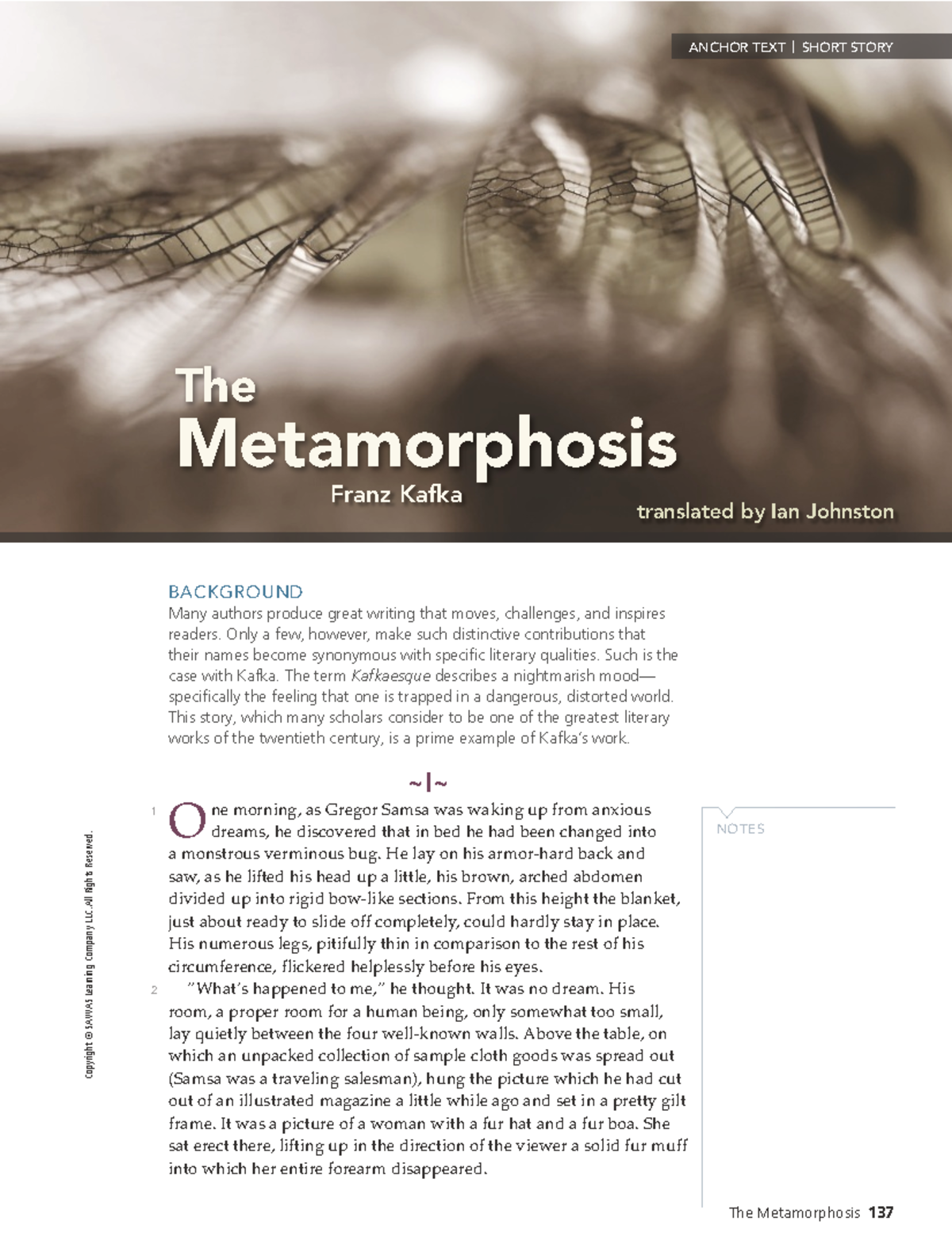 Metamorphosis Part 1 - Copyright © SAVVAS Learning Company LLC. All ...