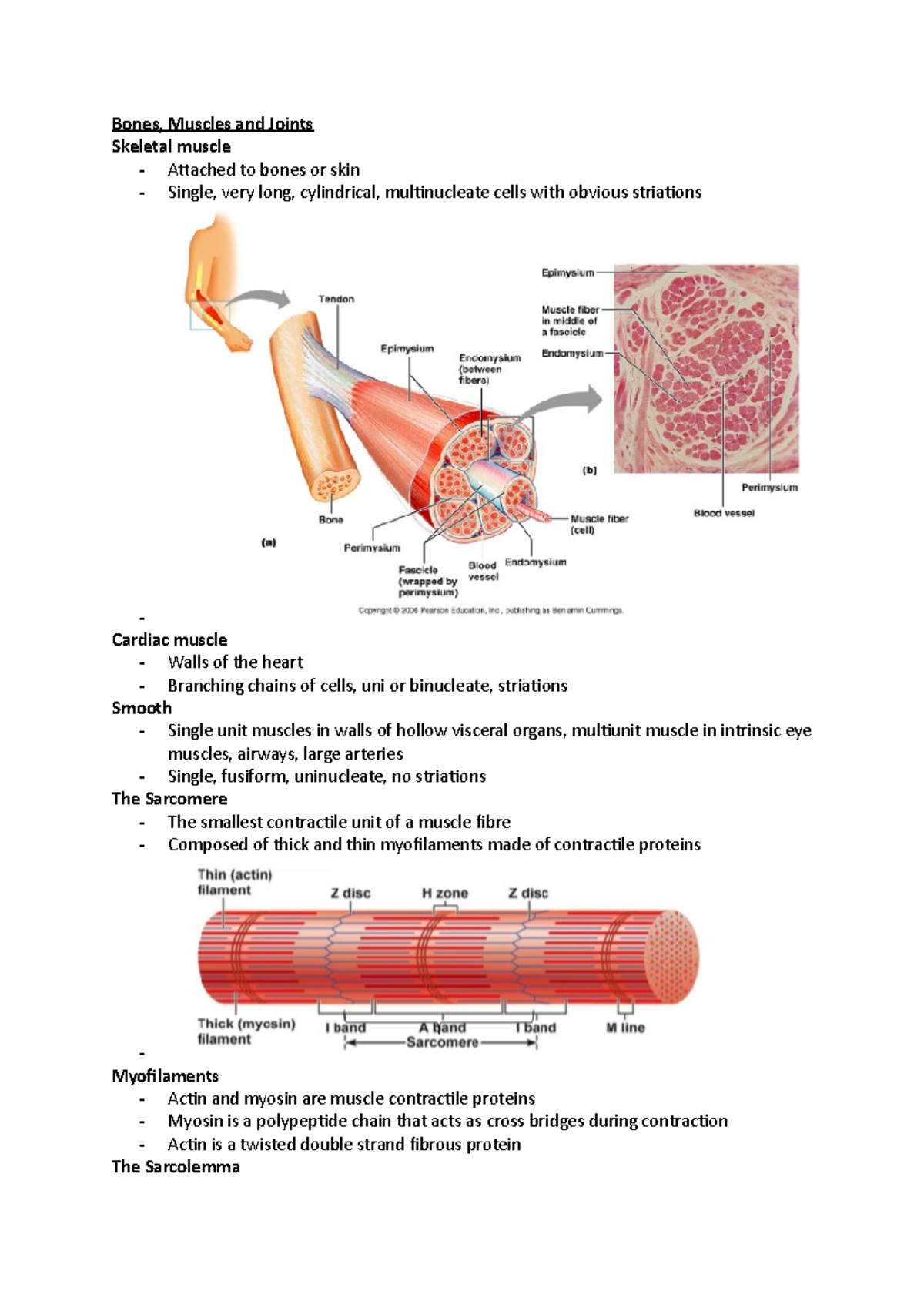 Human Physiology Session 6 - Bones, Muscles and Joints Skeletal muscle ...