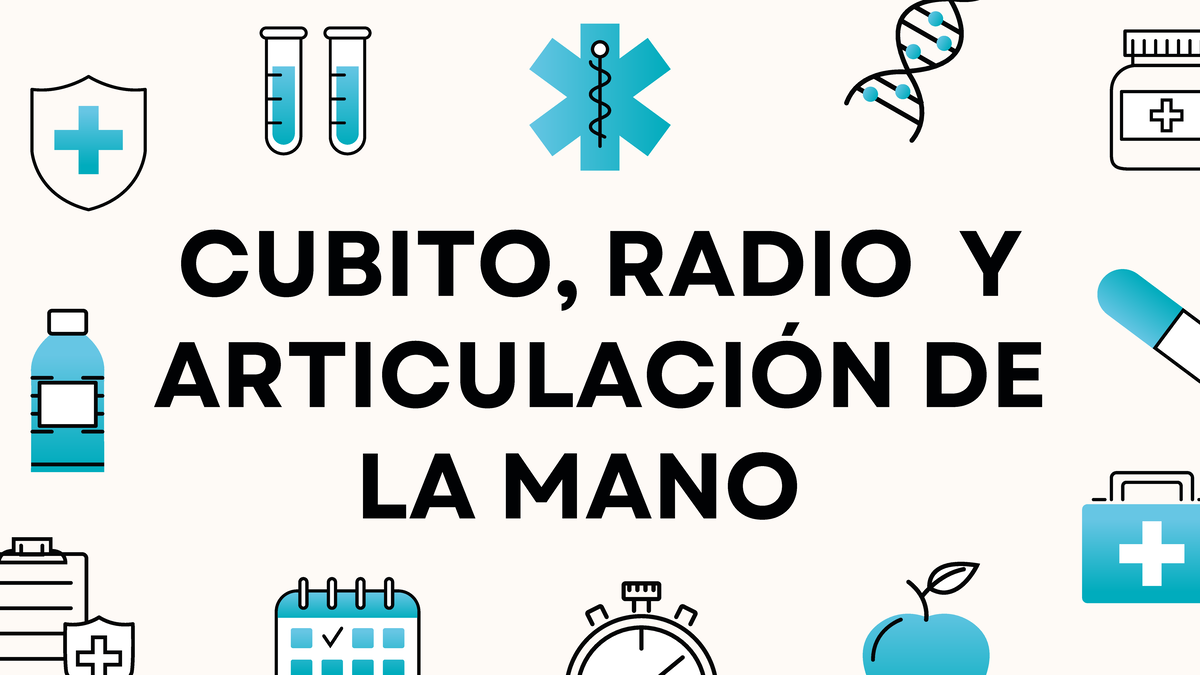 Huesos - FUNCIONAMIENTO DEL RADIO, CIBITO Y ARTICULACIONES DE LA MANO ...