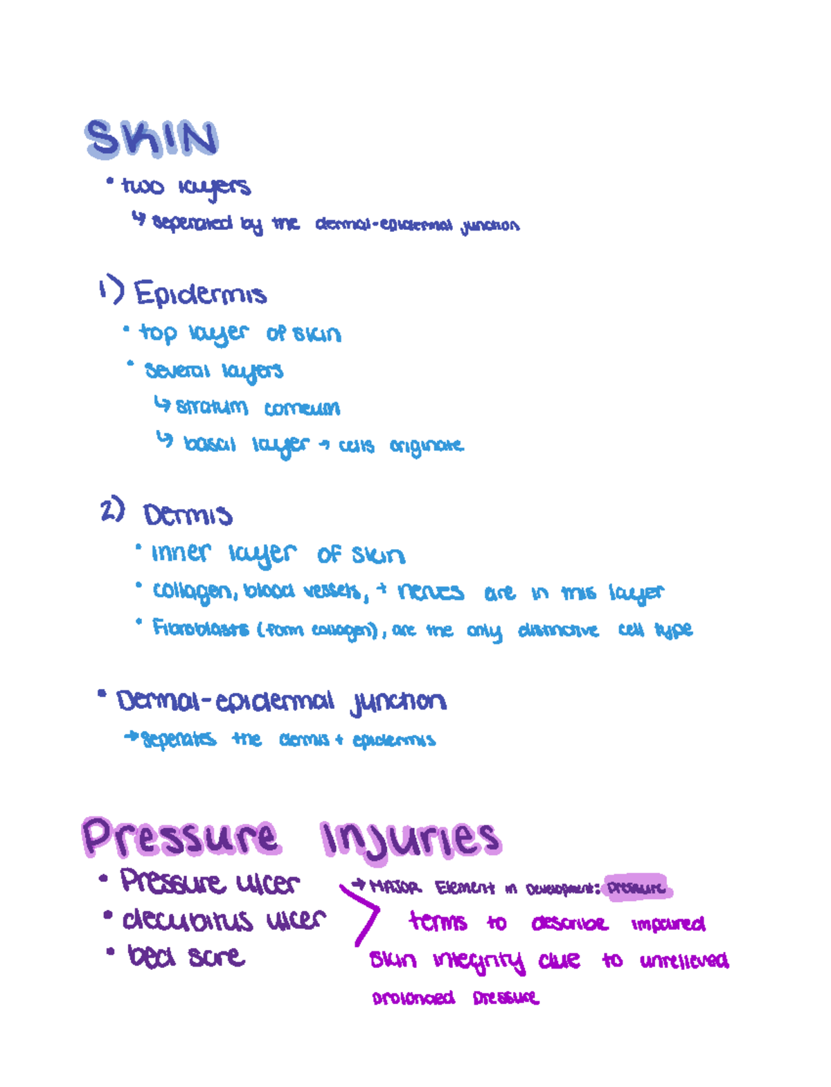Ch.48 Skin Integrity + Wound Care SG - SKIN two layers separated by the ...