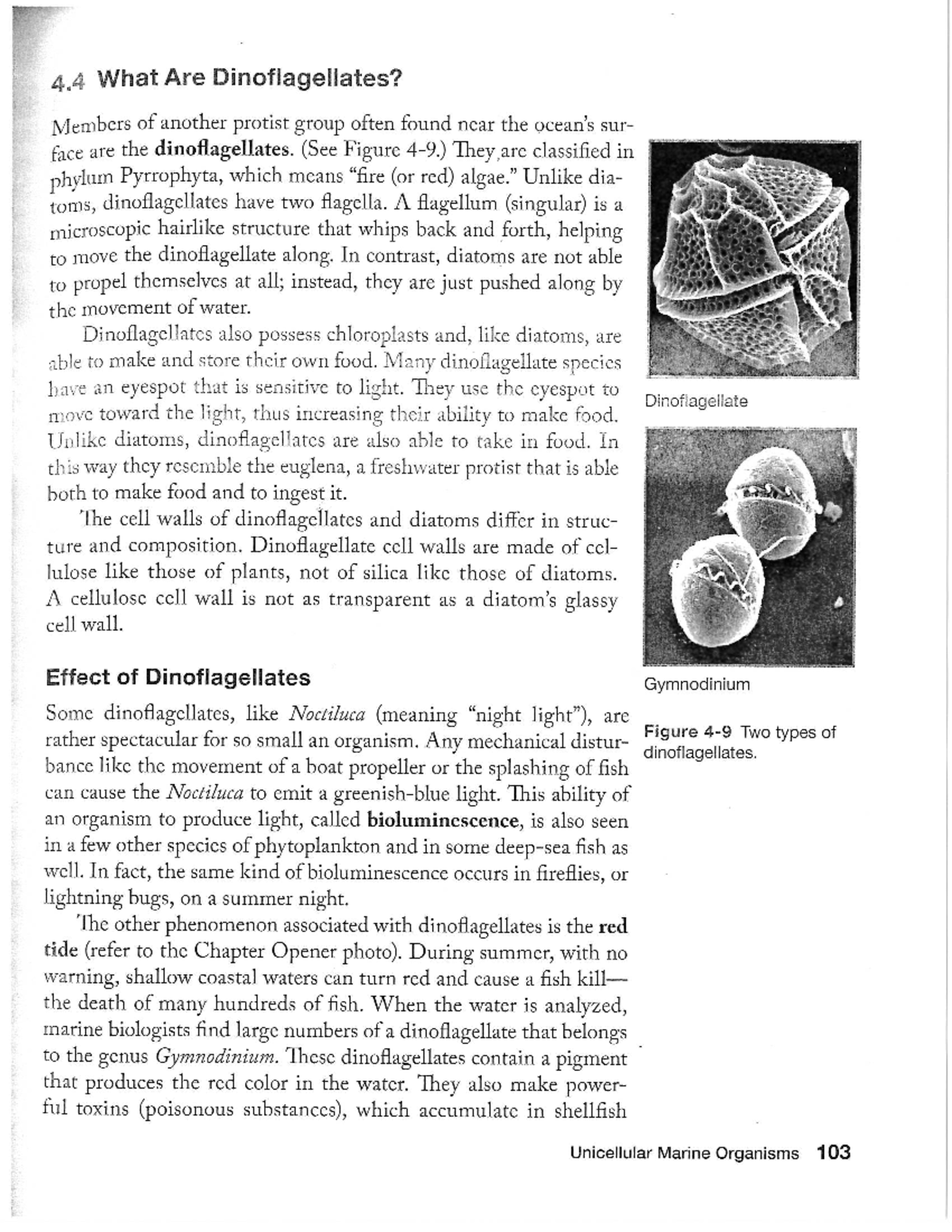 Caysin Palmer - Marine Bio Chapter 4, Lesson 4 - Studocu