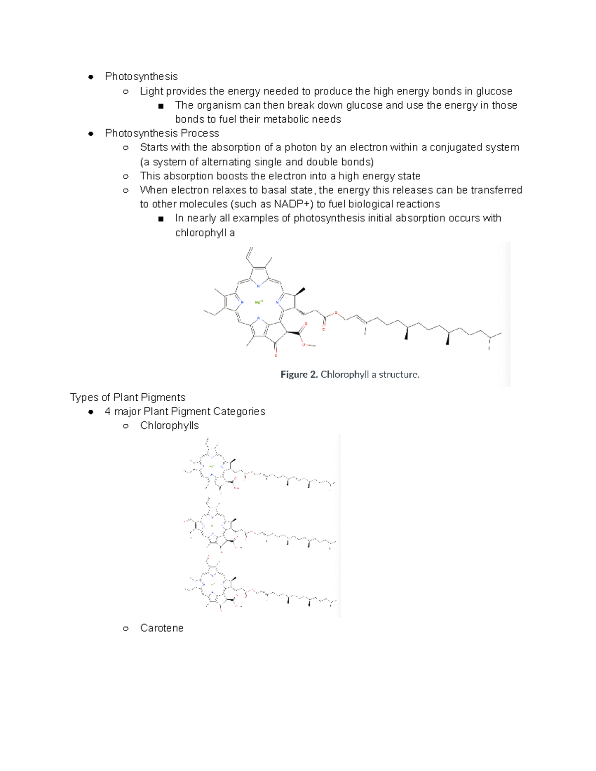 CHEM103 Pre-Lab Notes: Photosynthesis - Photosynthesis Light provides ...