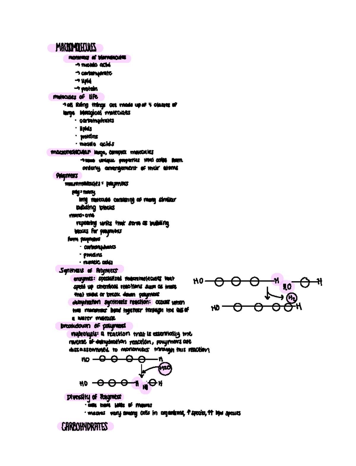 Chapter 5 Macromolecules - MACROMOLECULES monomersofbiomolecules nucleicacid carbohydrate lipid ...