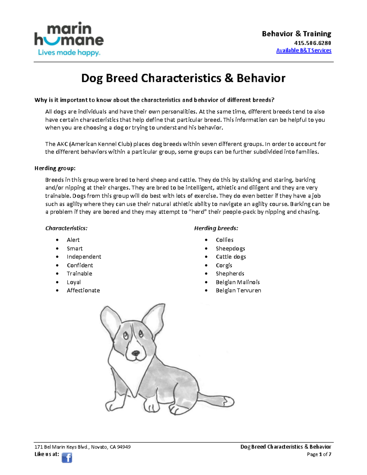 Dog Breed Characteristics Behavior - 415. Available B&T Services 171 ...