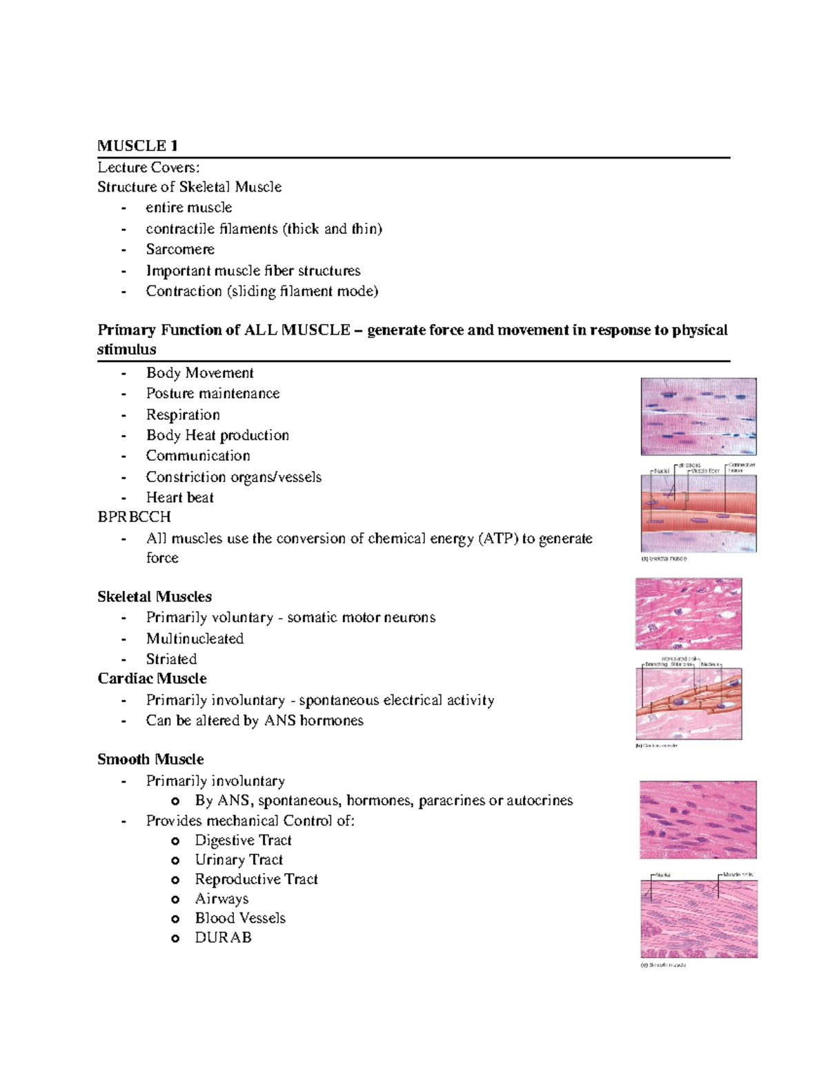 PHSI 208 Muscles - Lecture notes 1-9 - MUSCLE 1 Lecture Covers ...