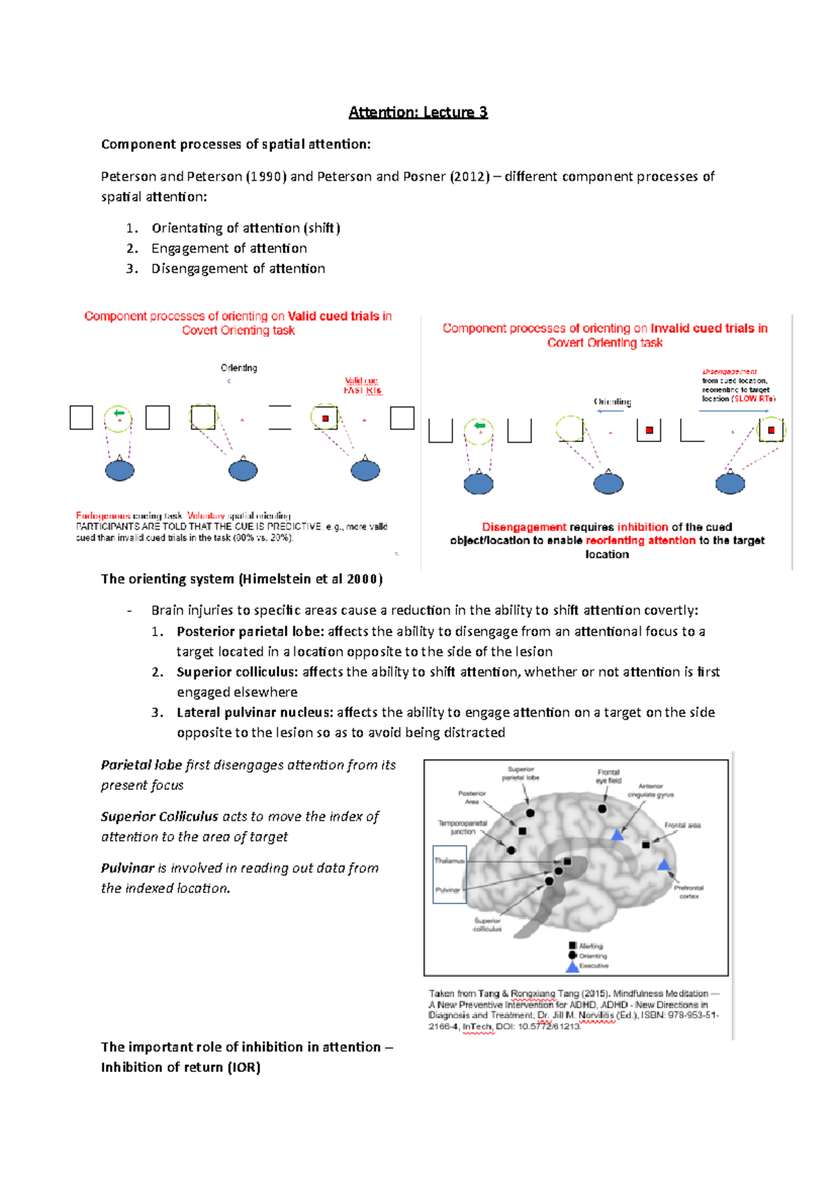 Attention lecture 3 - Attention: Lecture 3 Component processes of ...