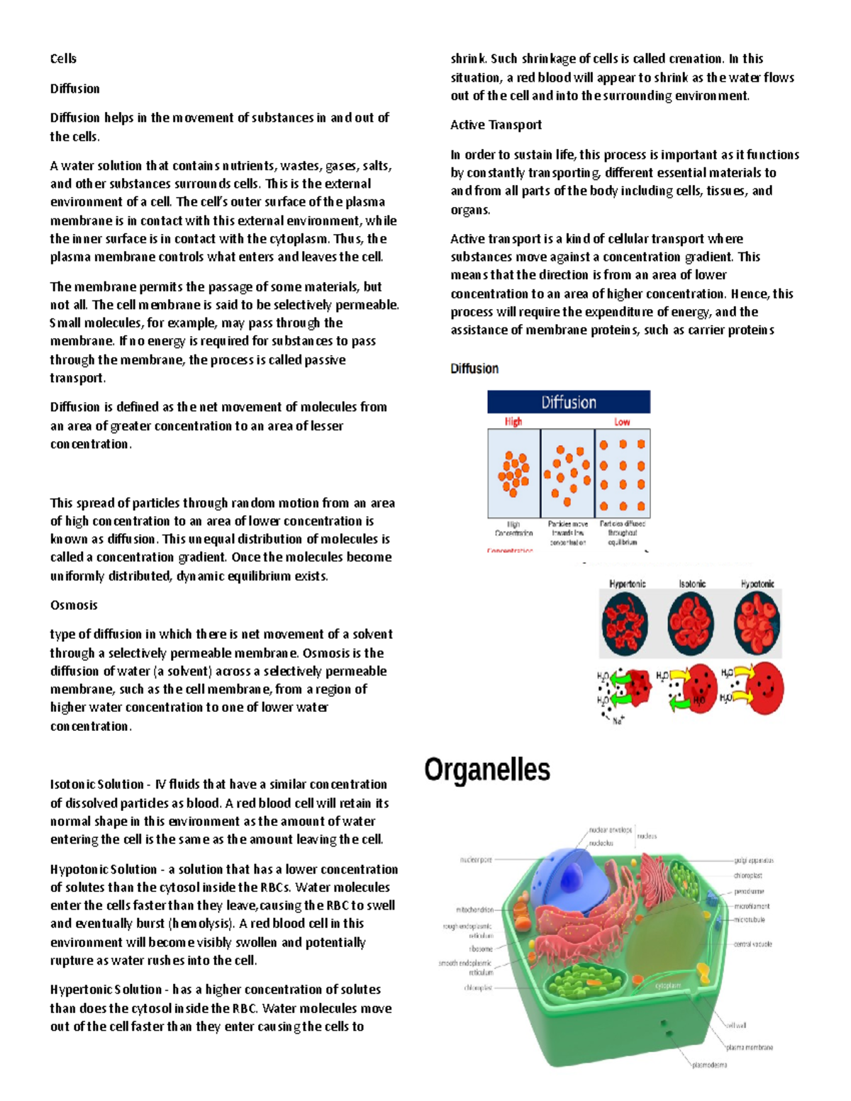 Cells - Cells Diffusion Diffusion helps in the movement of substances ...