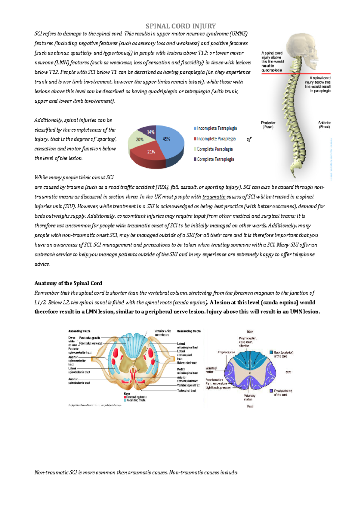 SCI - spinal cord injury lecture notes - SPINAL CORD INJURY SCI refers ...