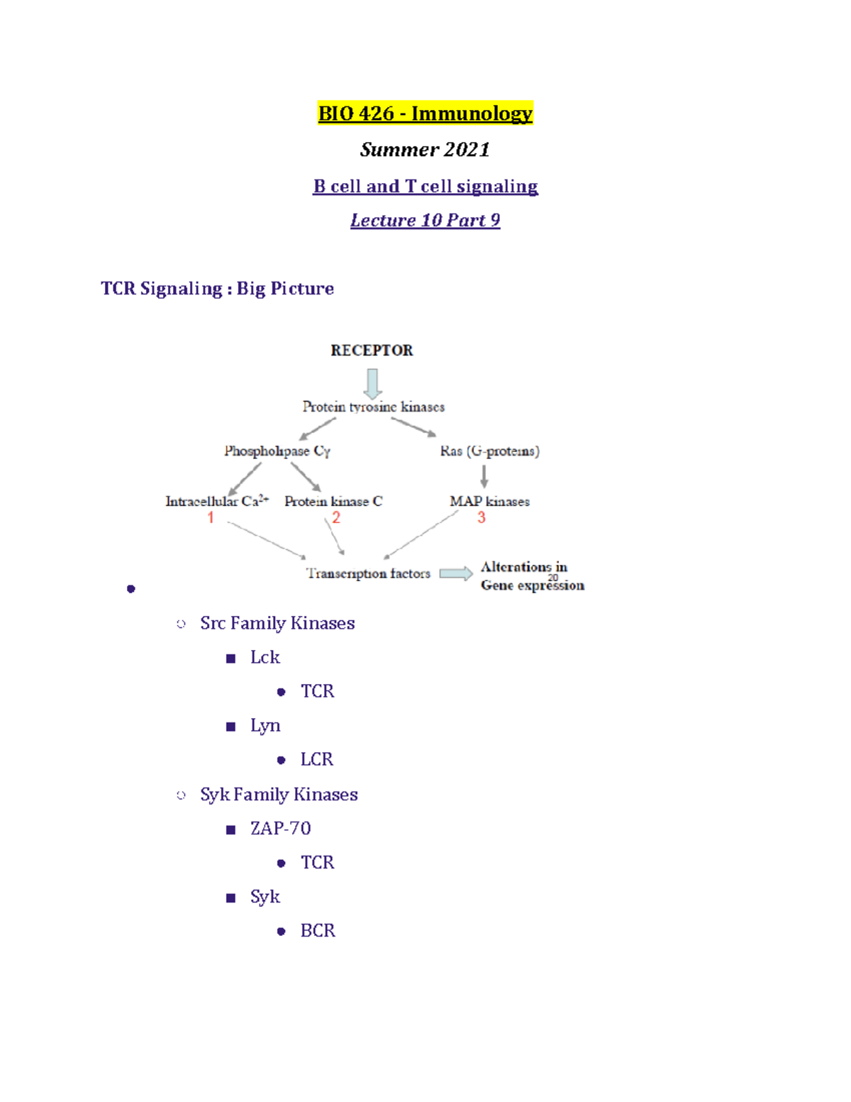 BIO 426 Lecture 10 Part 9 - Summer 2021 - BIO 426 - Studocu