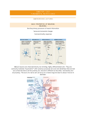 In the Nernst equation - Fundamental Neuroscience - In the Nernst ...