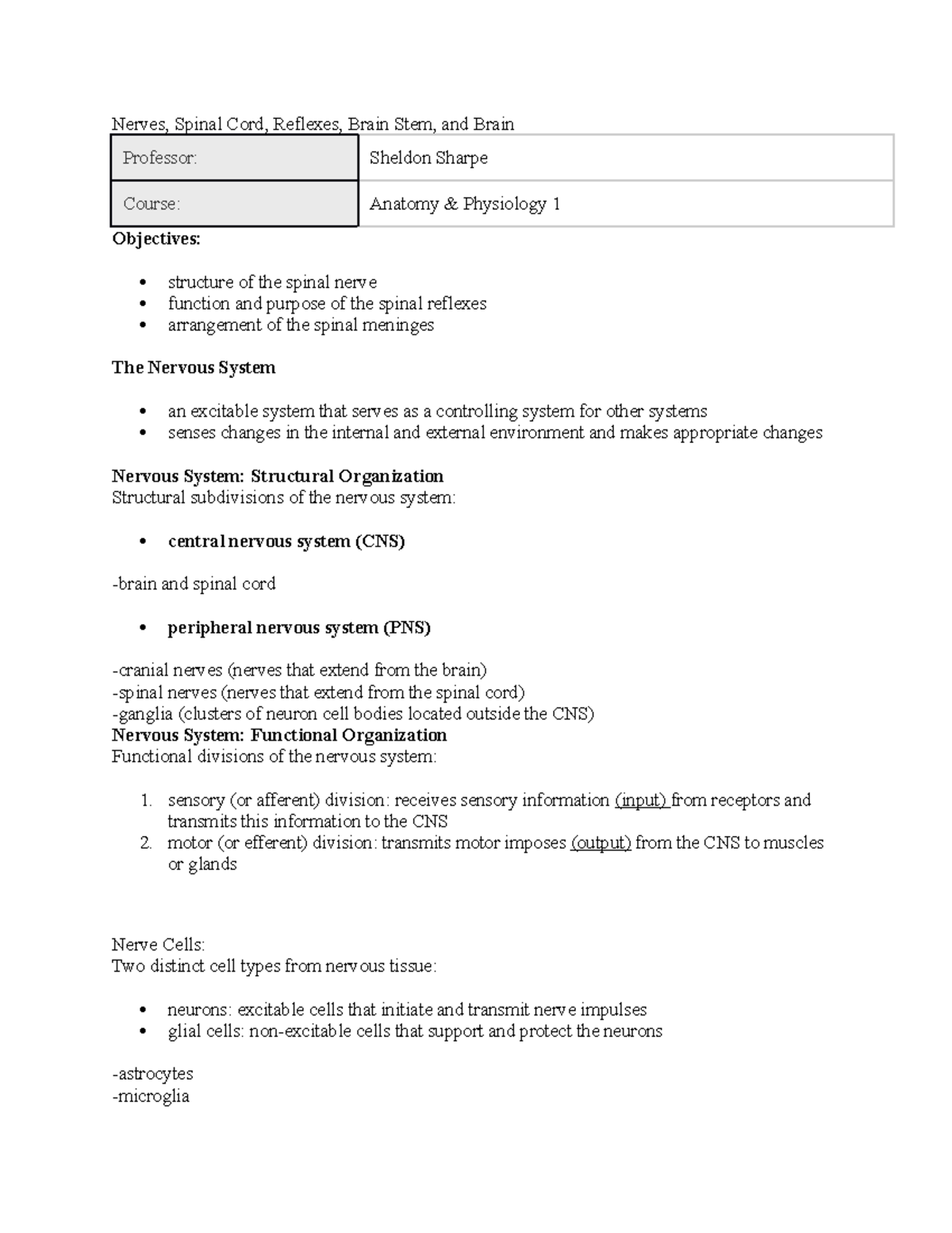 Nervous System - Nerves, Spinal Cord, Reflexes, Brain Stem, and Brain ...