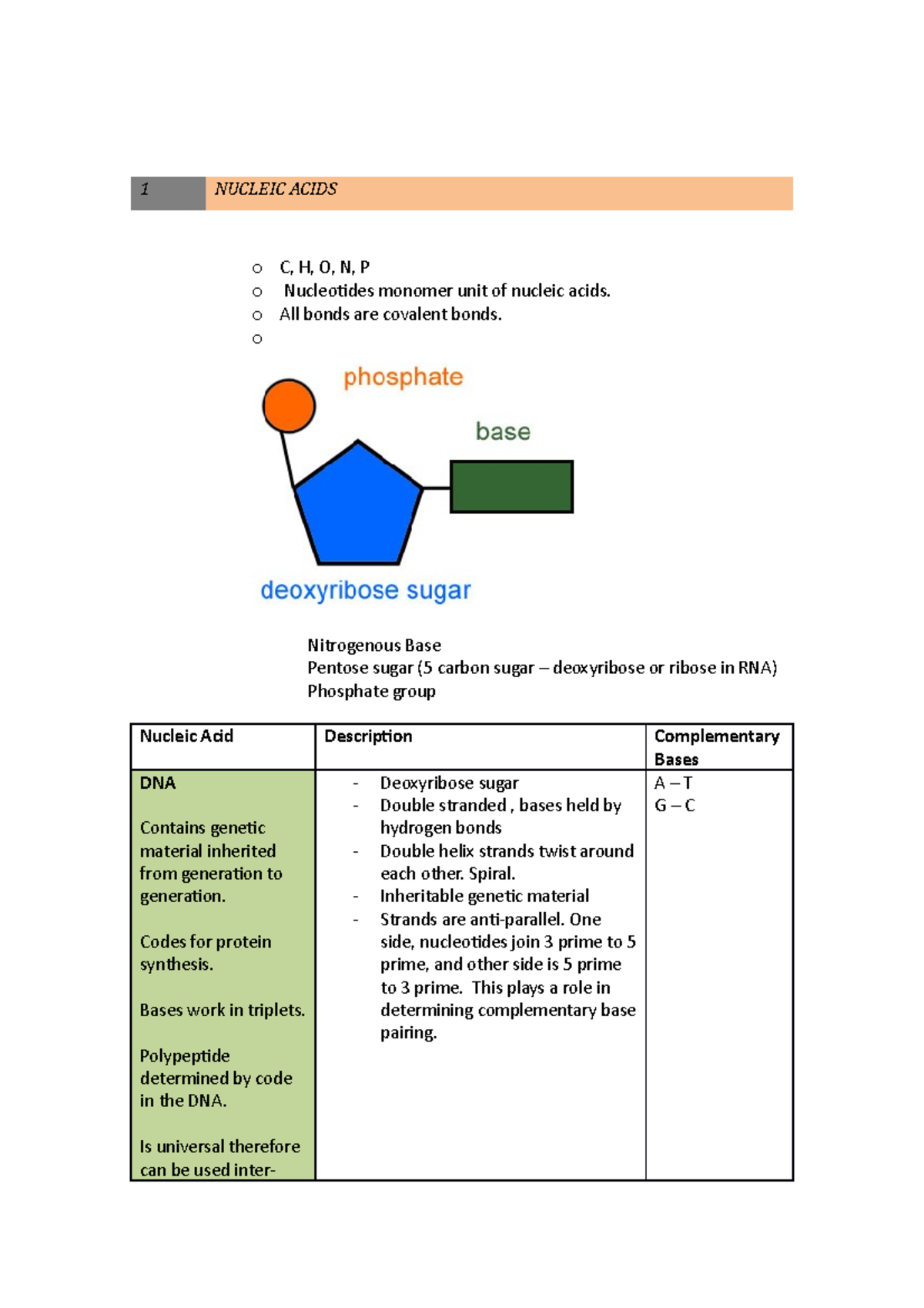 Protein Synthesis and DNA Replication - 1 NUCLEIC ACIDS o C, H, O, N, P ...