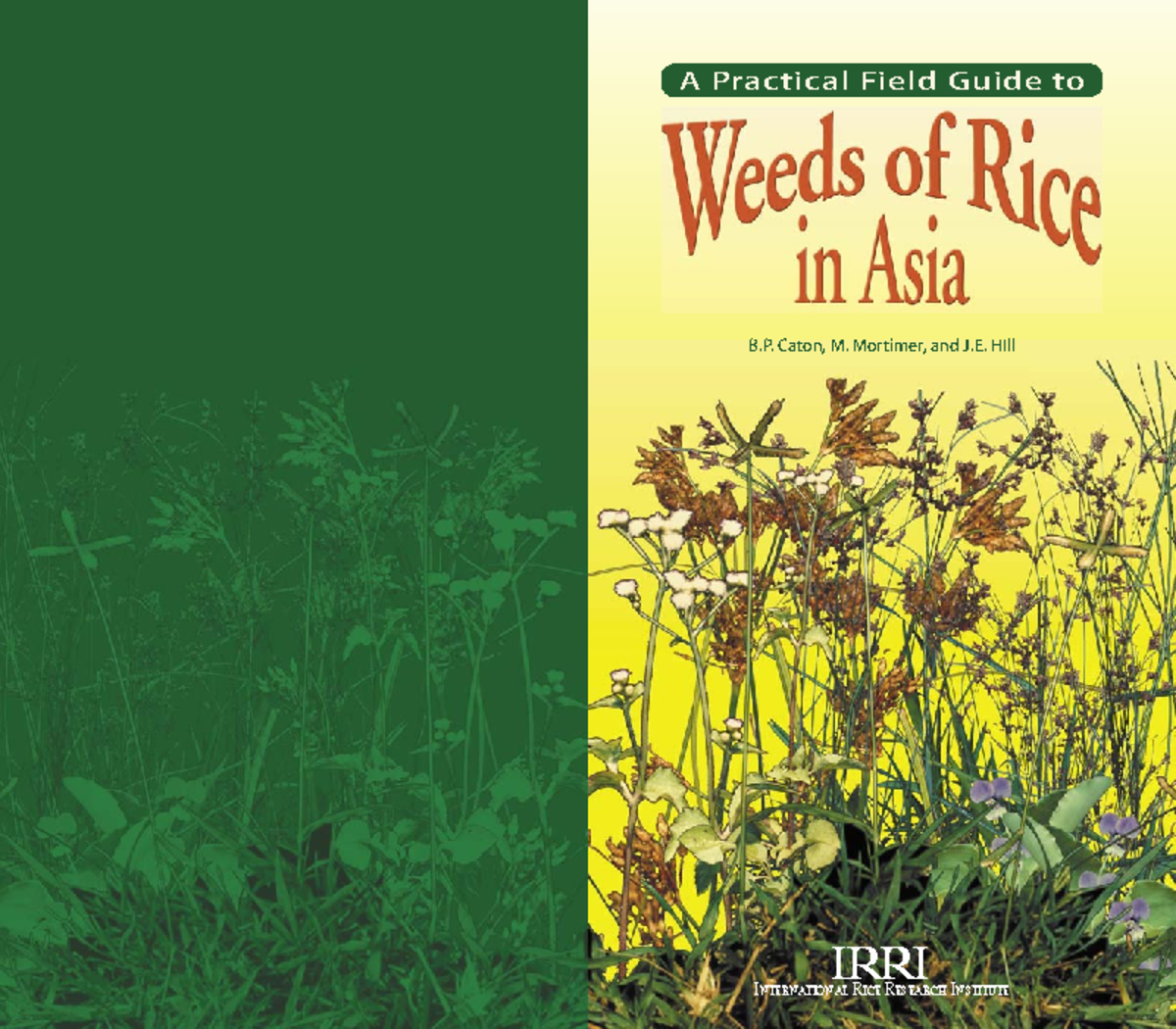 Weeds of Rice in Asia - 123 - i INTERNATIONAL RICE RESEARCH INSTITUTE ...