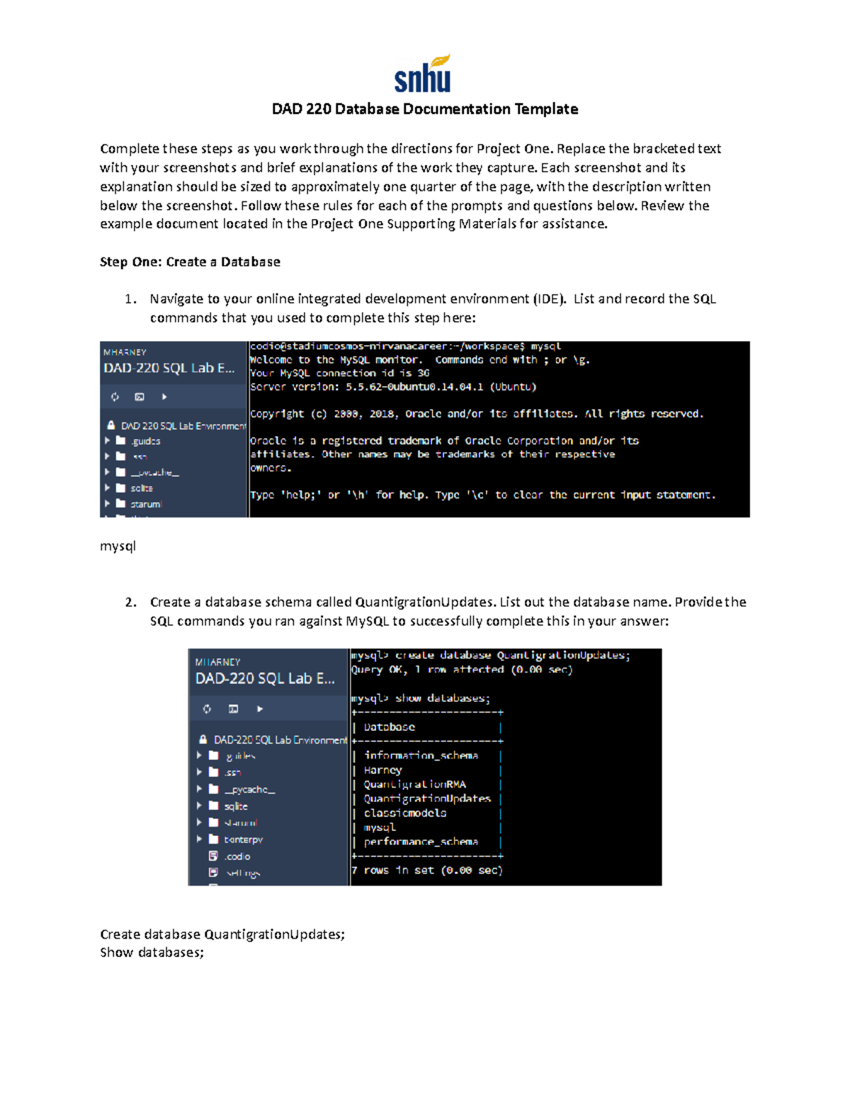 DAD 220 Database Documentation Harney - DAD 220 Database Documentation Template Complete these ...