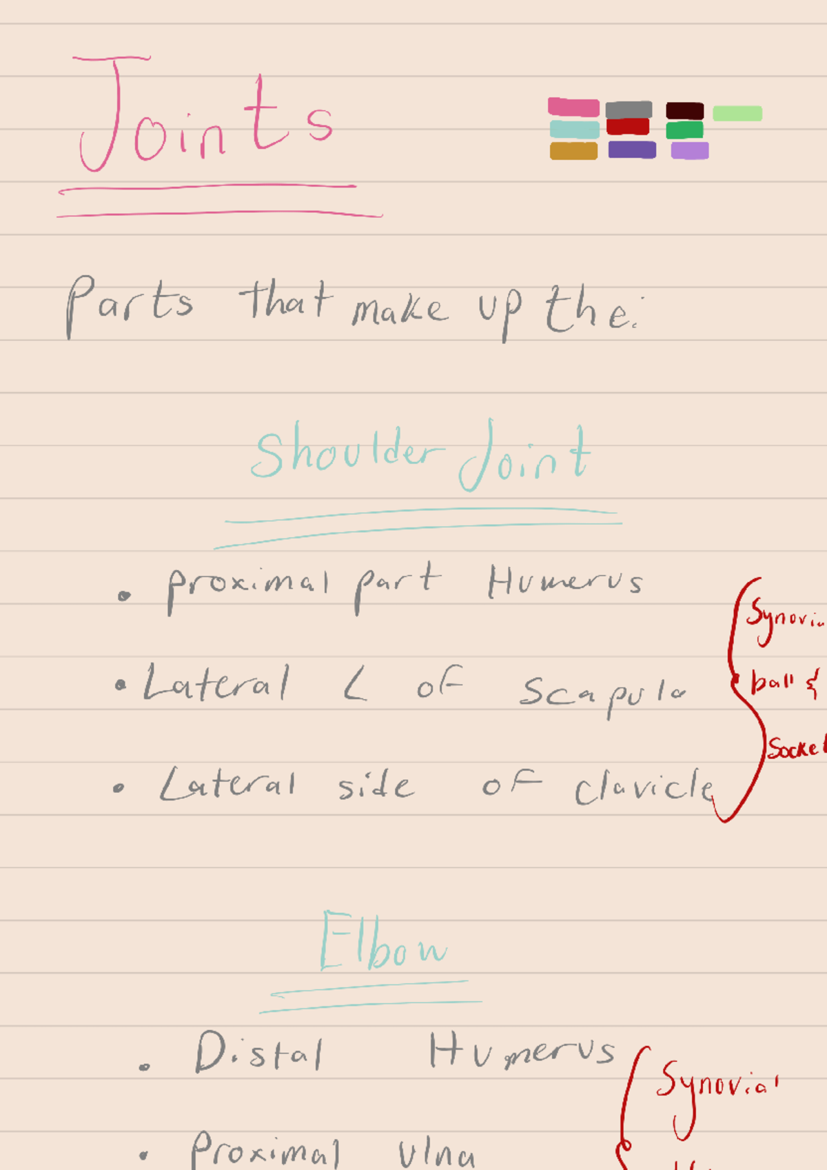 Joints 240329 120258 - Summary Optometry - B Optom - Studocu