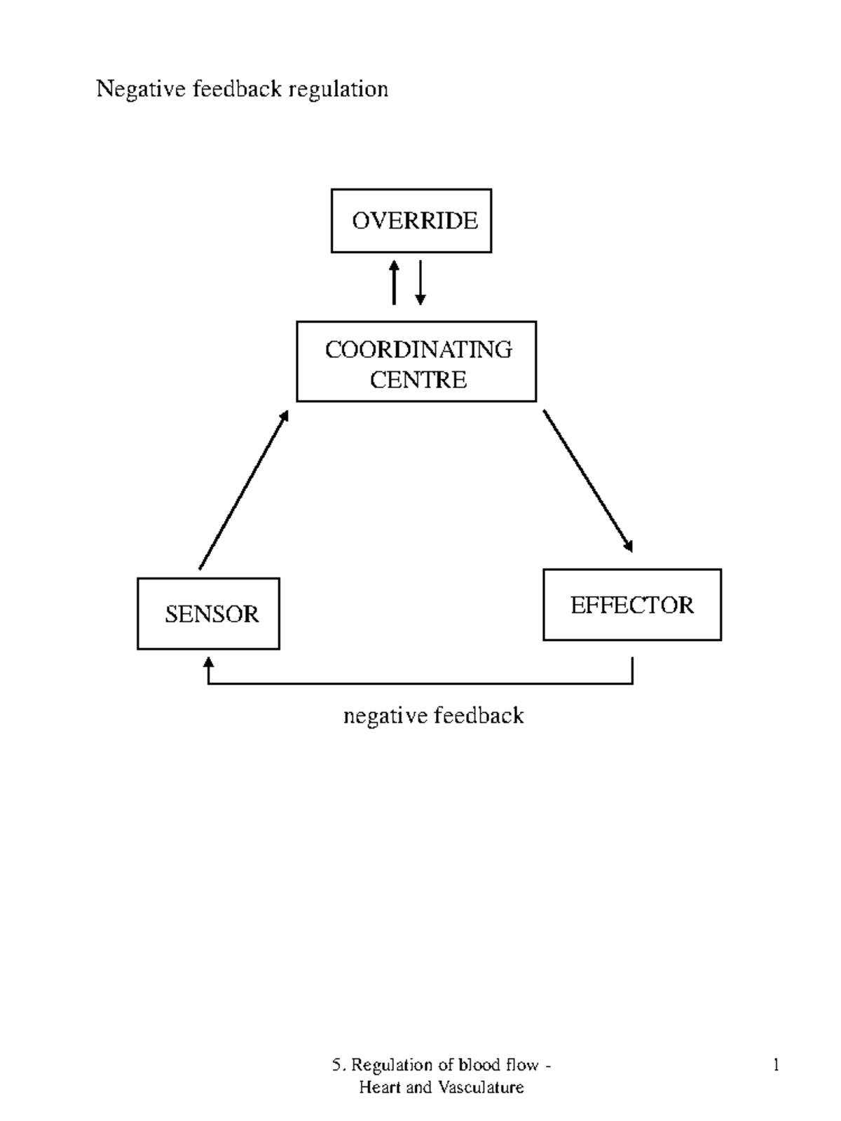 1. Blood flow - heart and vasculature 2022 - Regulation of blood flow ...