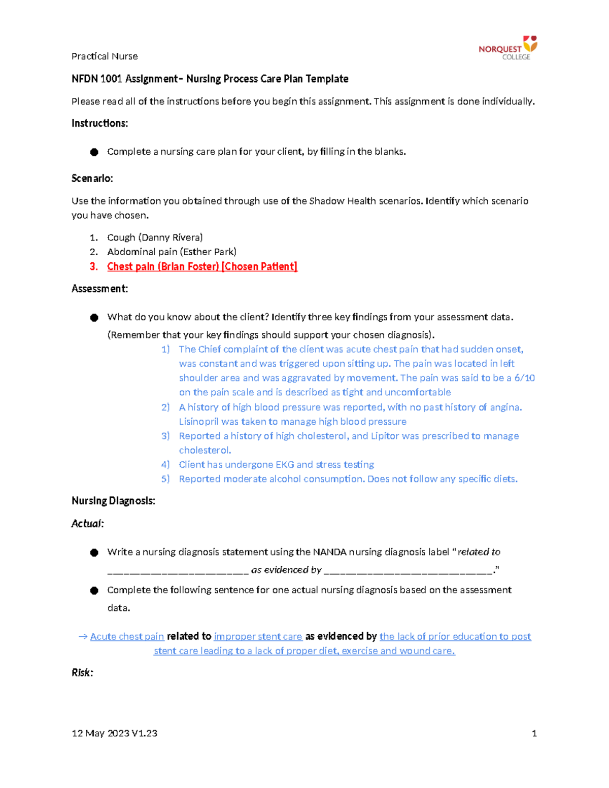 Care Plan Example for NFDN 1001 of the Nursing Process. Mandatory ...