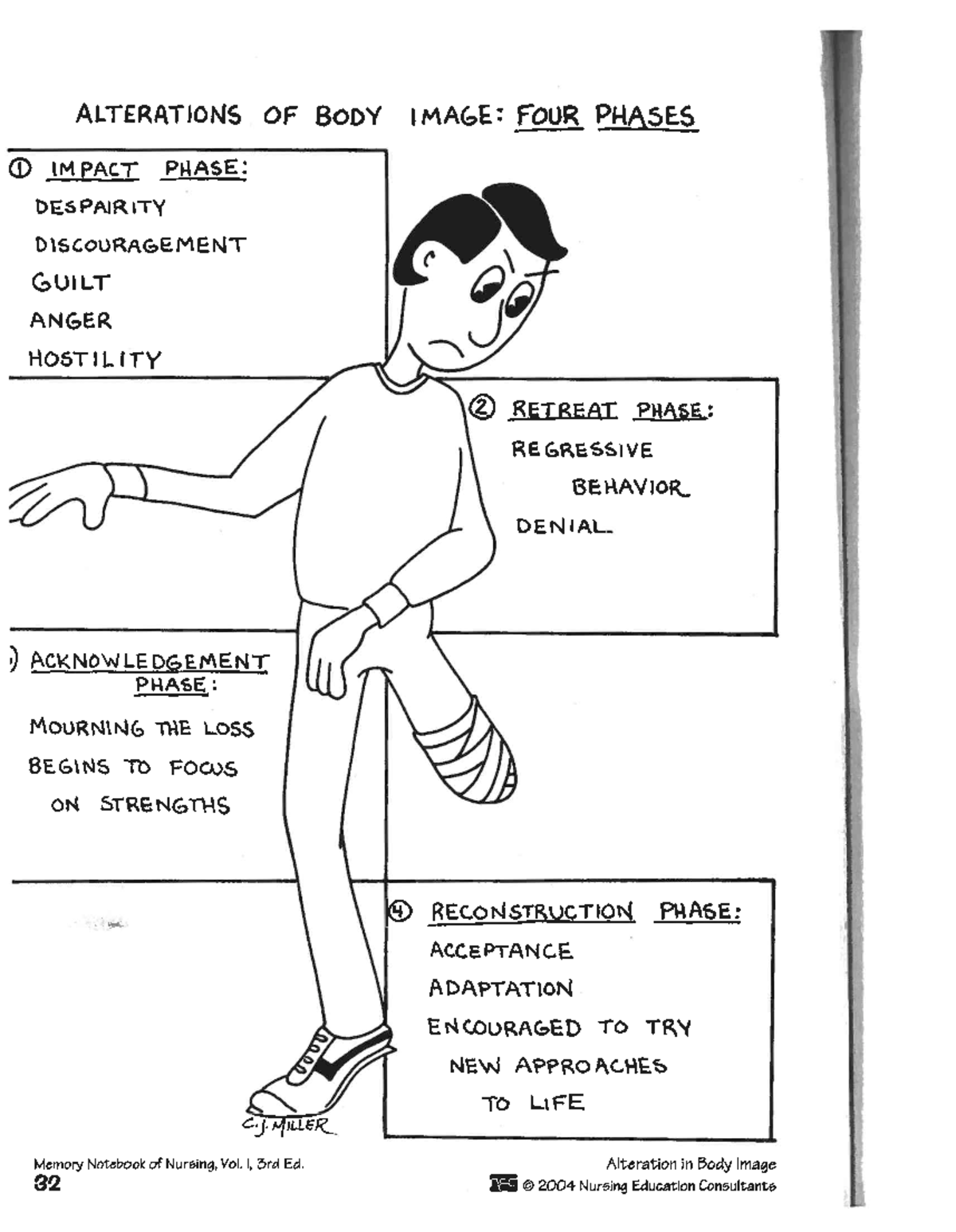 Alterations of body image four phases - ALTERATIONS。F BODY IMAGE： FOUR ...