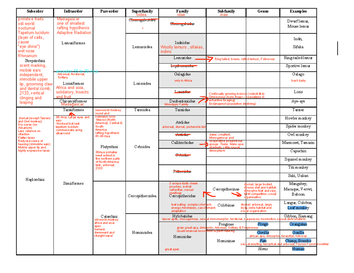 Taxonomy Chart - Suborder Infraorder Parvorder Superfamily Family ...