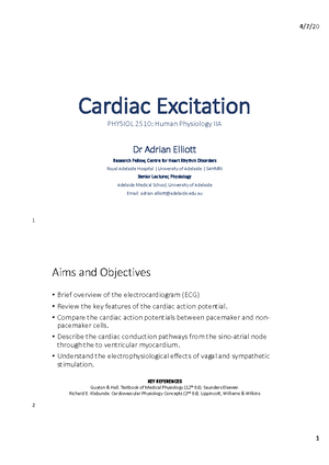 CV4 - Arteries Student Slides - Arteries PHYSIOL 2510: Human Physiology ...