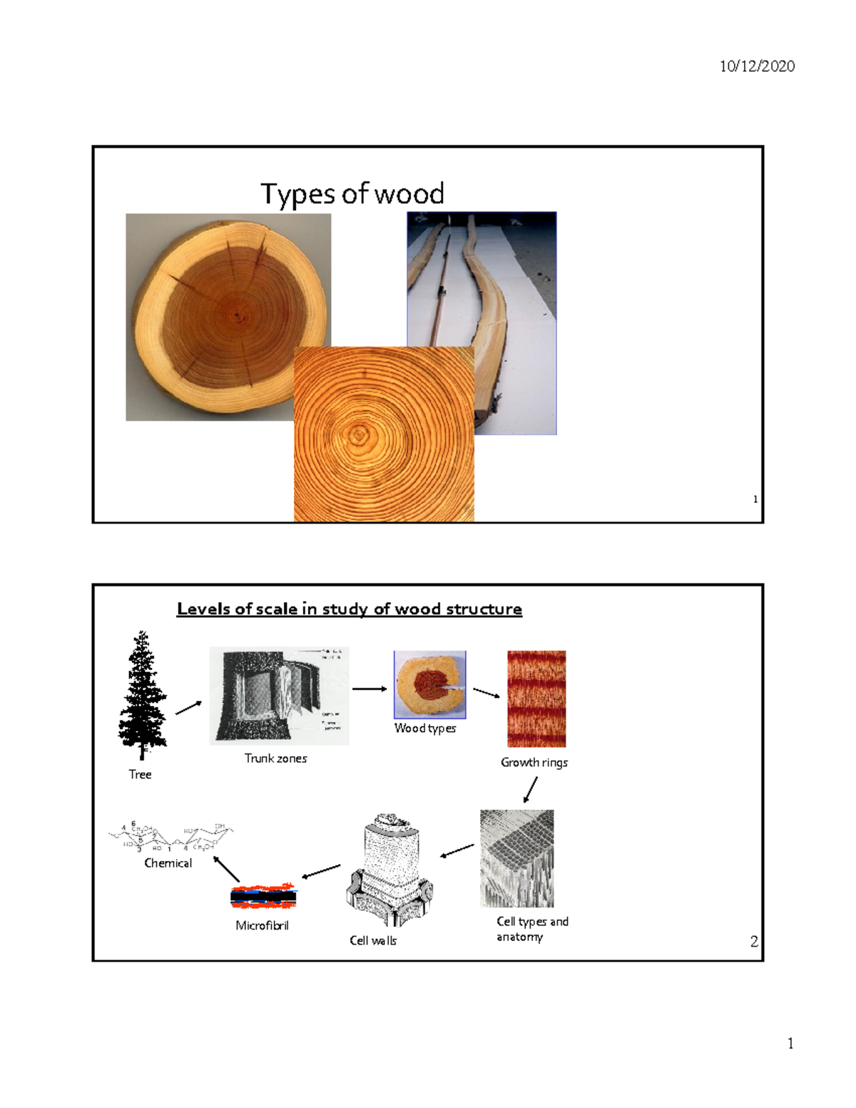 05 Types of Wood 202010 11 - Types of wood 1 2 Tree Trunk zones Wood ...