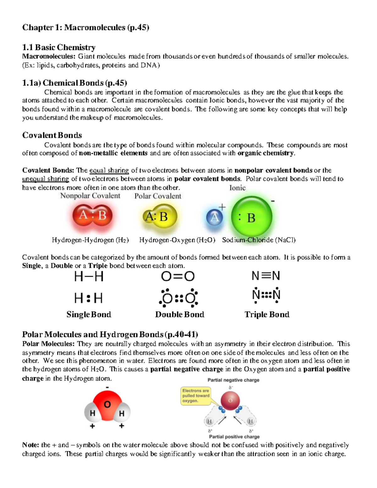 01-Macromolecules-2 - pdf - Chapter 1: Macromolecules (p) 1 Basic ...