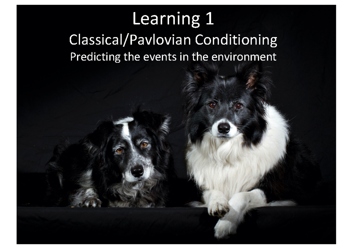 PSYC1020 2022 week5 Learning - Learning 1 Classical/Pavlovian Conditioning Predicting the events ...