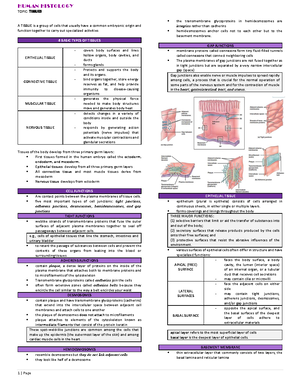 Summary digestive - Medical Technology - Six (6) basic processes of ...