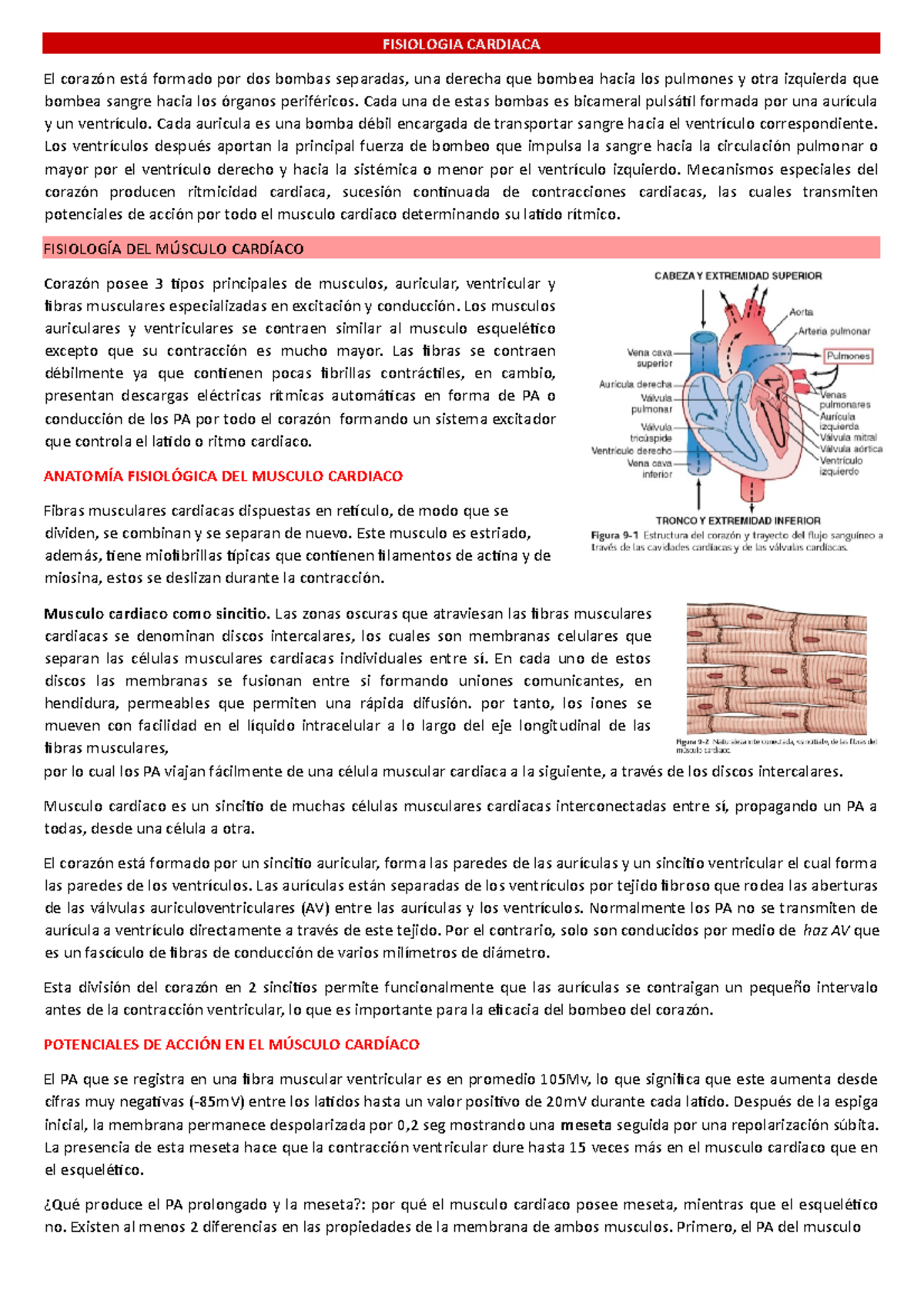 Fisiologia Cardiaca - reumen y apuntes a partir de guyton - FISIOLOGIA ...
