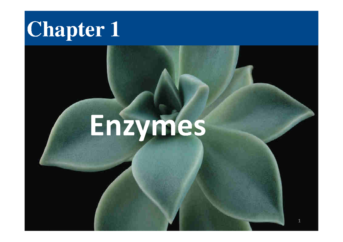 BIO150 Chapter 1 Enzymes - Enzymes Chapter 1 Syllabus Content The ...