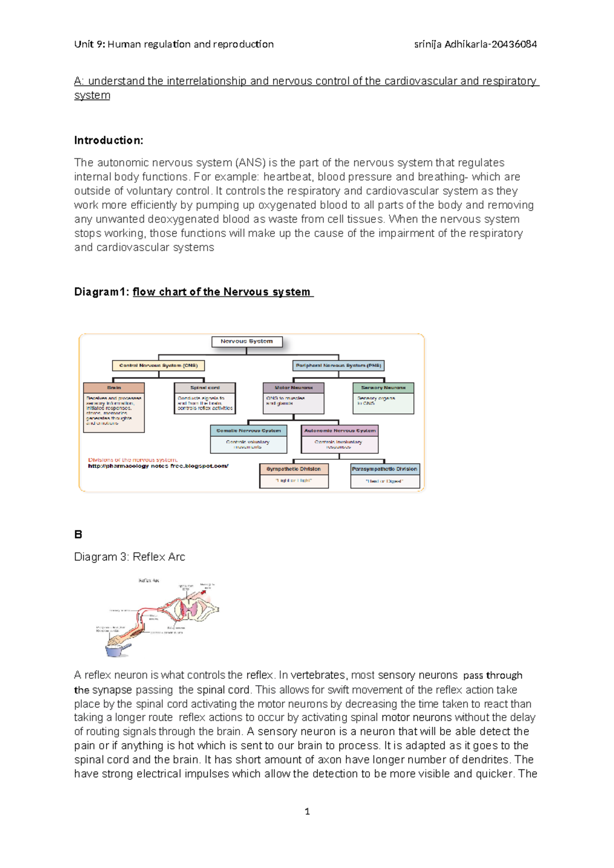 Human Regulation and Reproduction - For example: heartbeat, blood ...